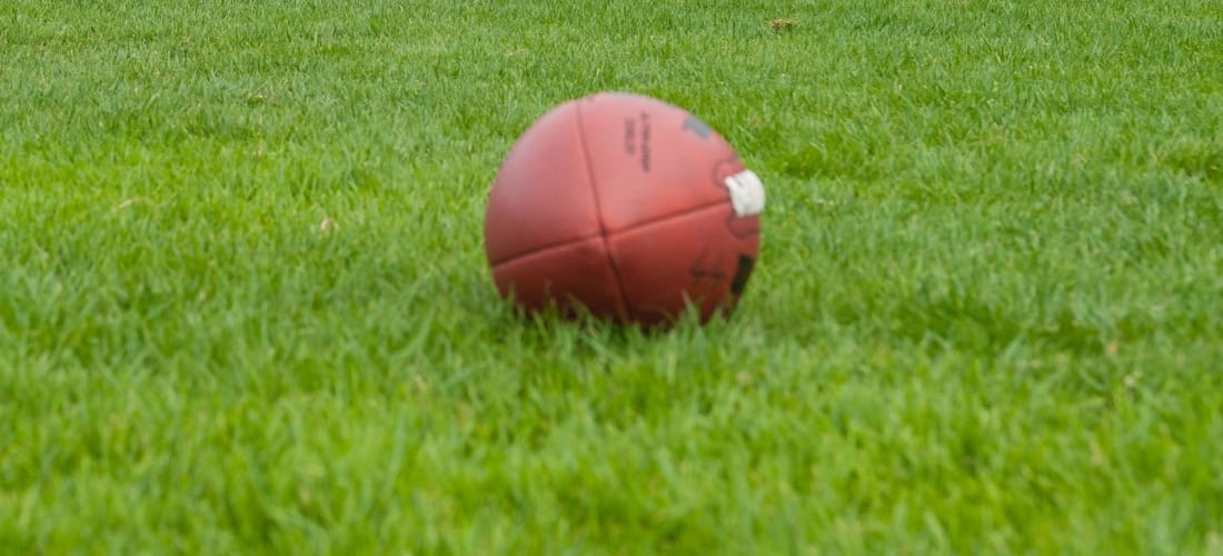 5 Fall Yard Projects to Tackle With No Football | Nashville Lawn Care