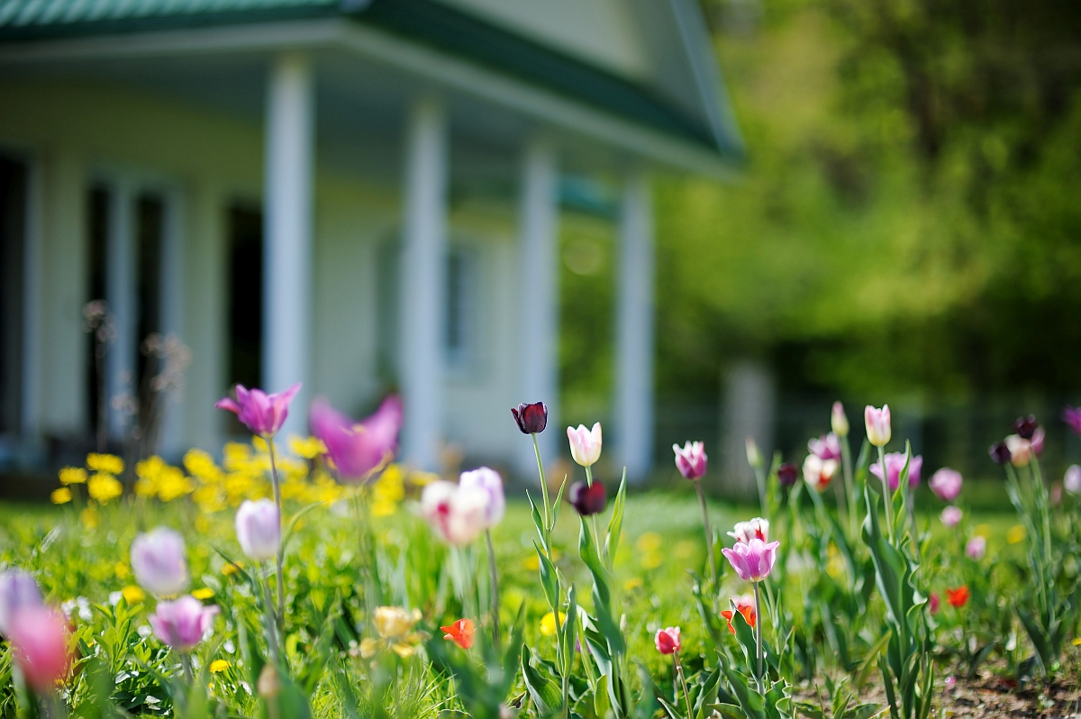 7 Spring Lawn Care Tips for a Beautiful Yard - Turf Managers