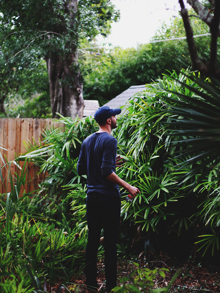 Tree and Shrub Program | Turf Manager